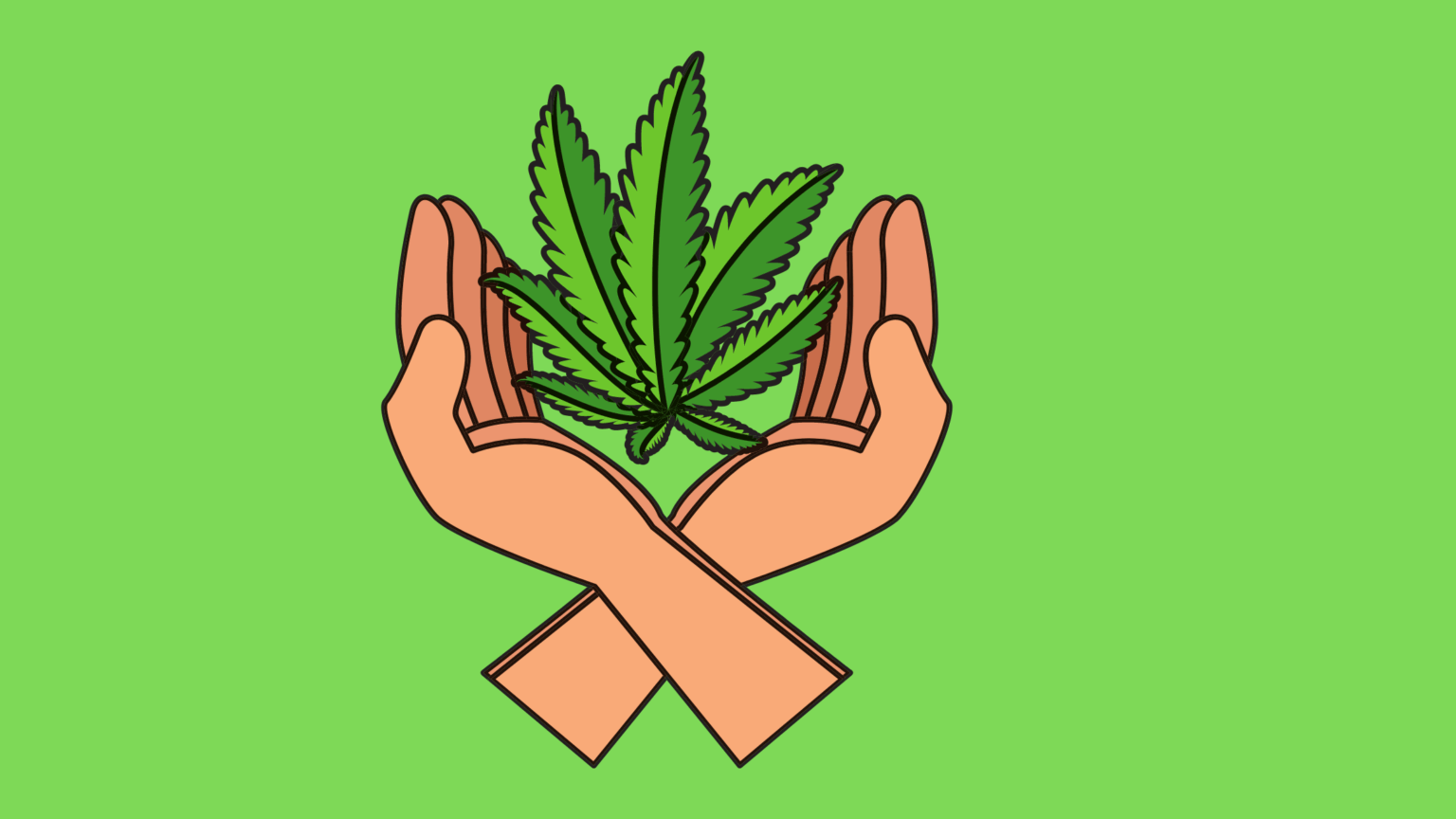 Complete Guide to Cannabis Plant Training - Seed Connect Growers Blog