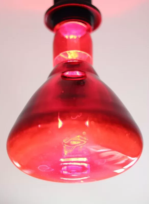 Infrared (IR) Light: The Dark Horse of the Cannabis Light Spectrum ...