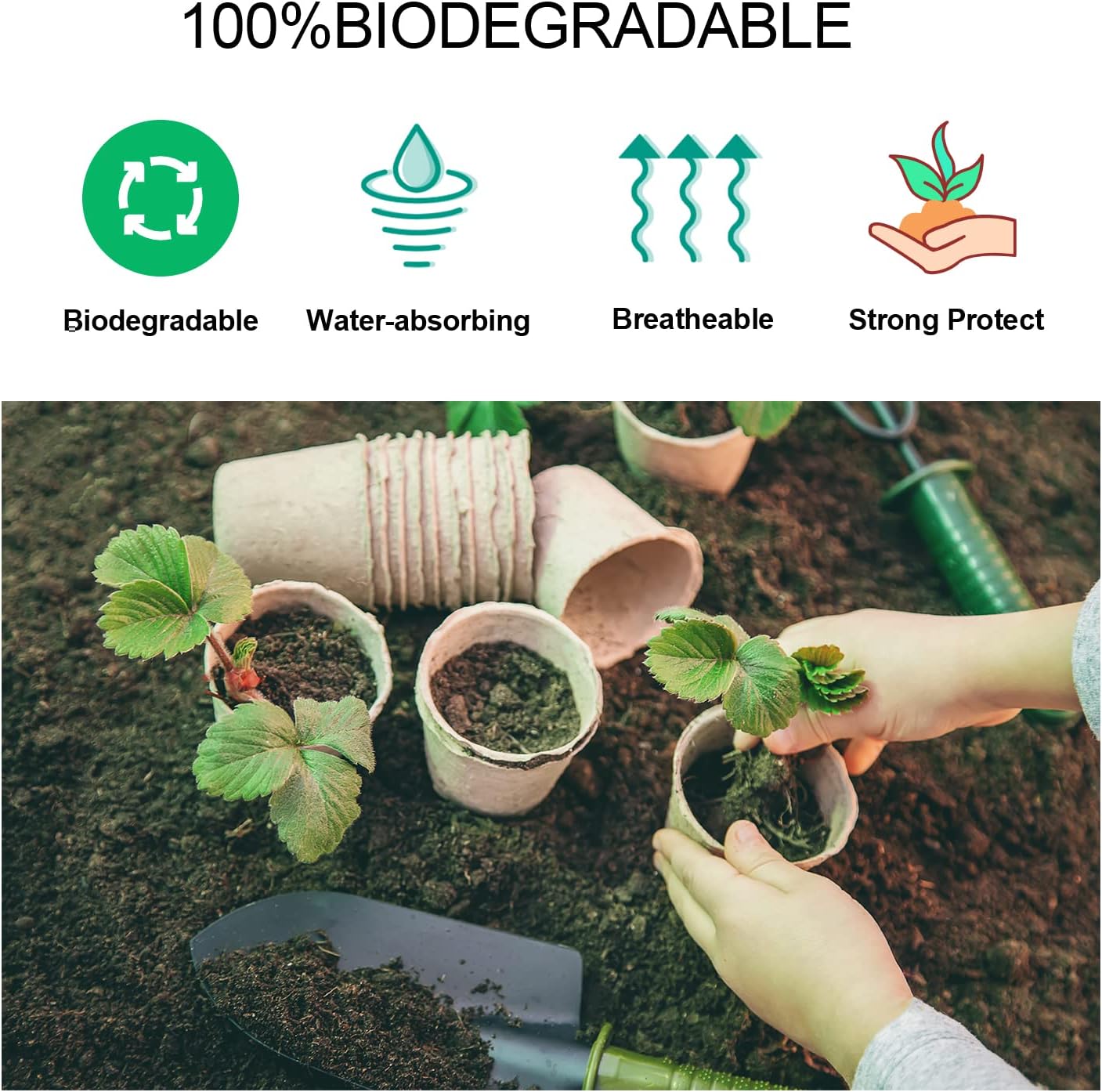 Best Biodegradable Seedling Pots of 2025: Start Strong, Grow Green ...