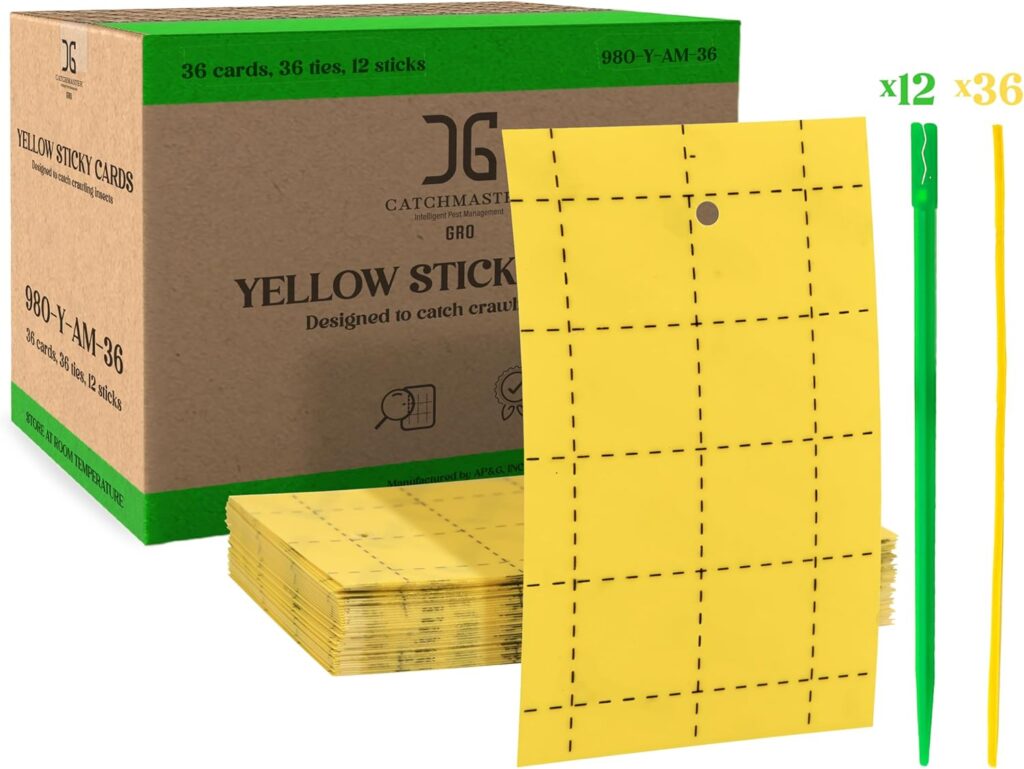 How to Use Fly Strips Effectively: Step-by-Step Guide + Top Picks ...