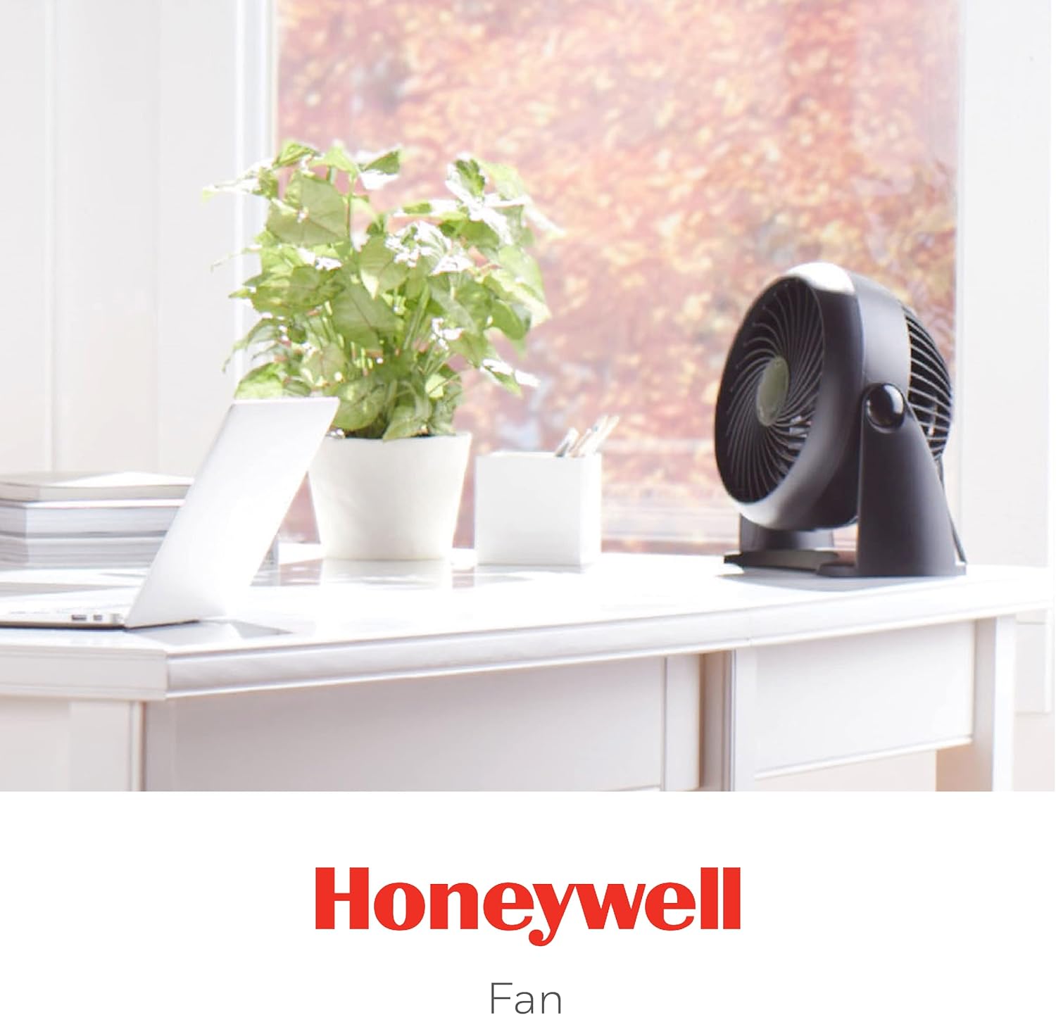 Best Oscillating Fans of 2025: Stay Cool with Quiet, Powerful Airflow ...
