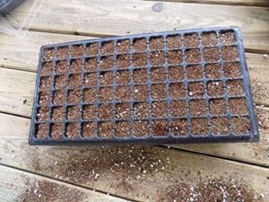 Best Seed Starting Trays of 2025: Jumpstart Your Garden with Strong ...