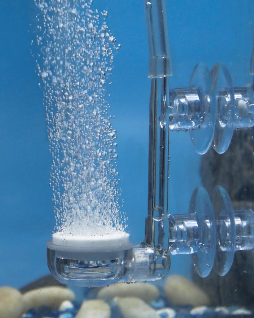 Best Air Stone Pumps of 2025: Boost Oxygen for Healthier Roots & Bigger ...