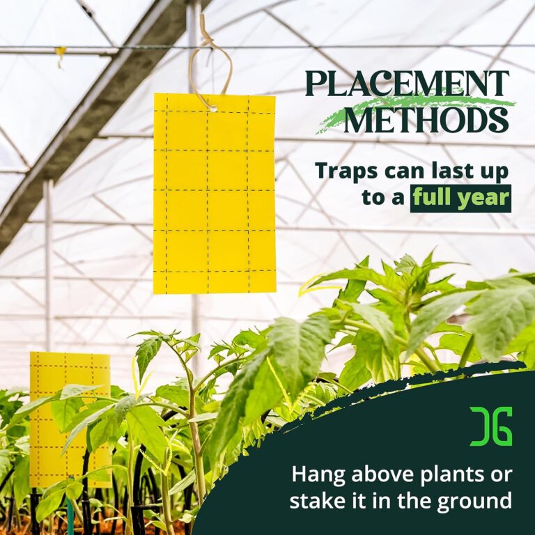 How to Use Fly Strips Effectively: Step-by-Step Guide + Top Picks ...