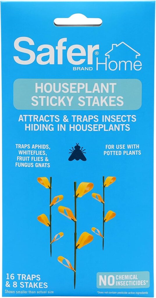 How to Use Fly Strips Effectively: Step-by-Step Guide + Top Picks ...