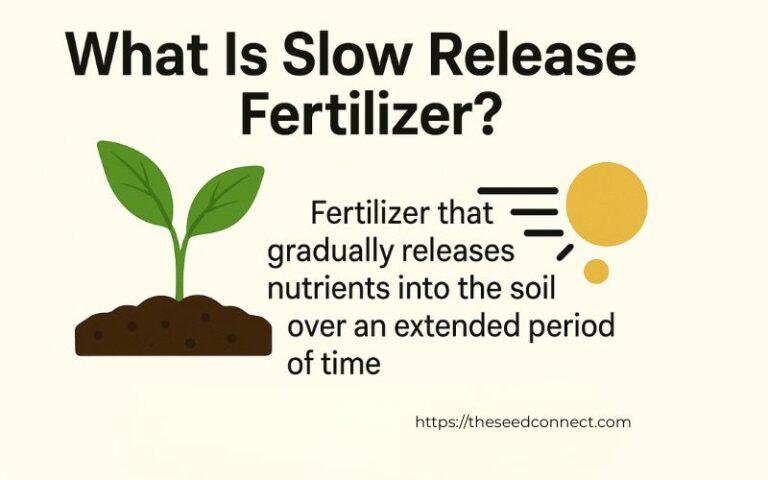 Best Slow Release Fertilizers for Long-Lasting Plant Health | 2025 ...