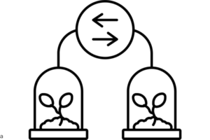 Cannabis Clones: How to Clone, Buy, and Grow High-Quality Plants - The ...