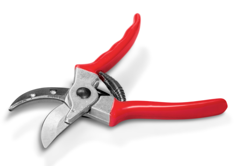 The Art of Snip: A Comprehensive Guide to Properly Pruning Cannabis ...