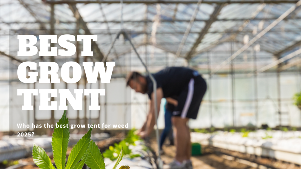 How to Create a Cannabis Grow Journal + A Free Grow Journal Template ...